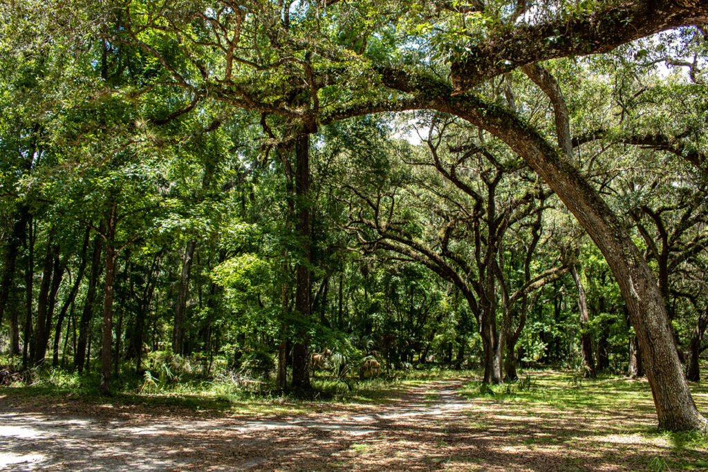 Area Guide - Moto Ranch at Croom